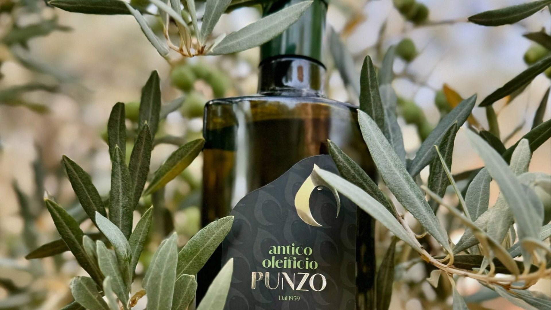 Olio – Antico Oleificio Punzo